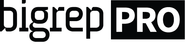 Logo BigRep PRO - Multistation EN